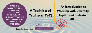 Online DEI Training of Trainers Programme Module 1: 13 June – Journeys ...